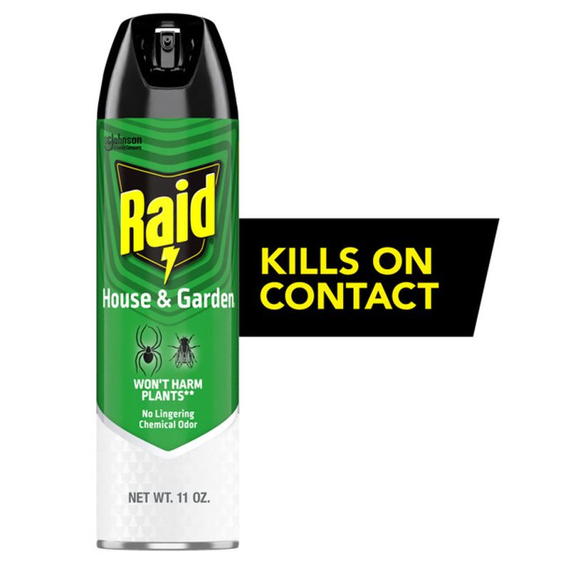 Buy Raid® House & Garden Insect Killer Insecticide Aerosol Spray Online ...