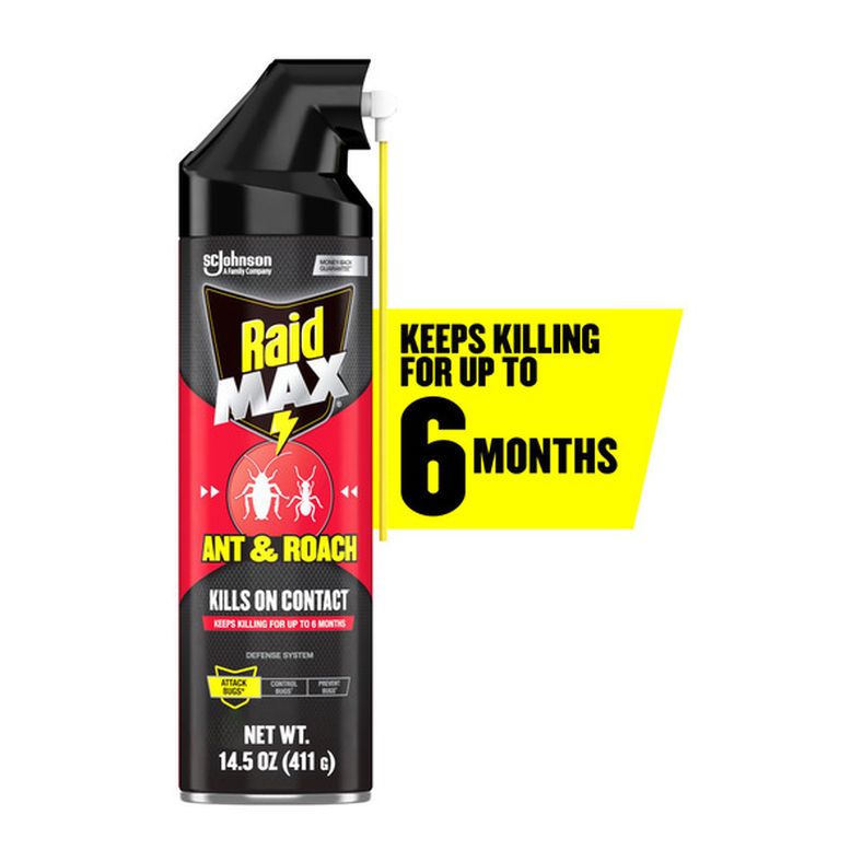 Raid® MAX Ant and Roach Killer Insecticide Aerosol Spray - S