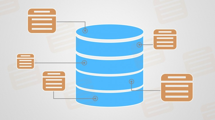 Database Foundation Database Management